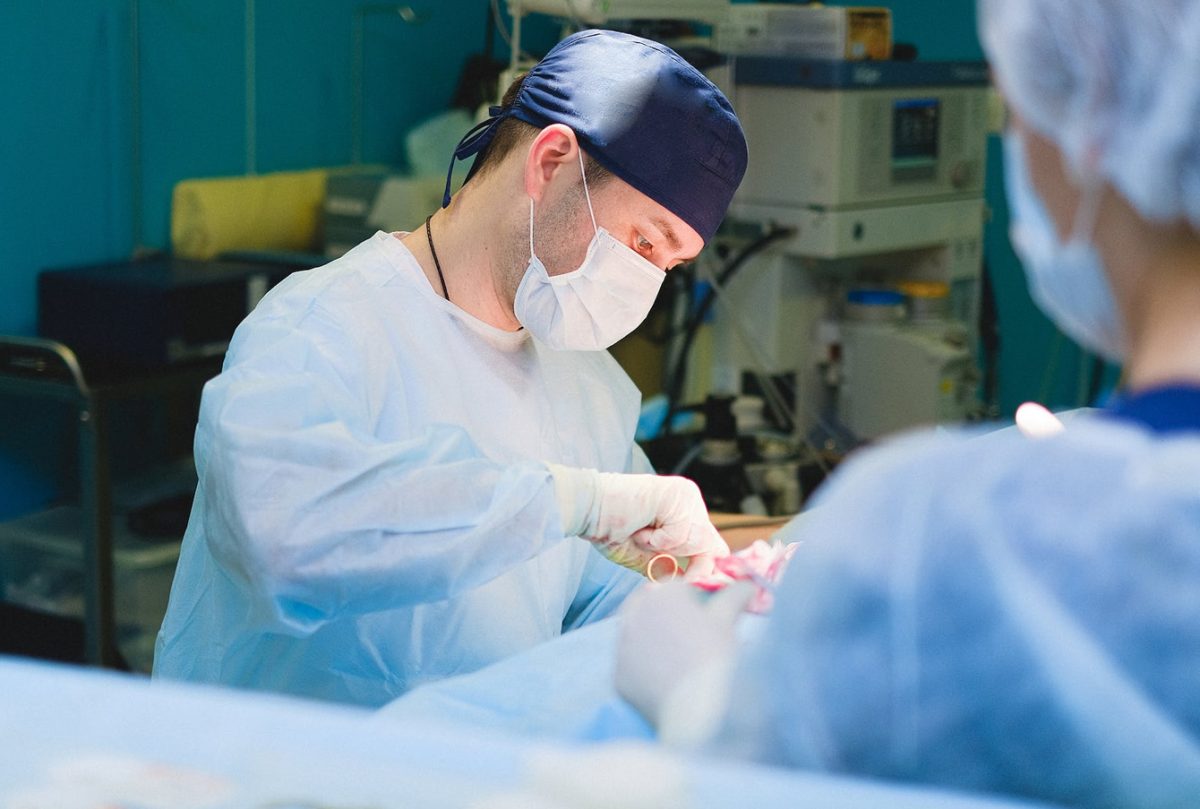 Hip Replacement and Knee Replacement – Two of the Most Common Types of ...